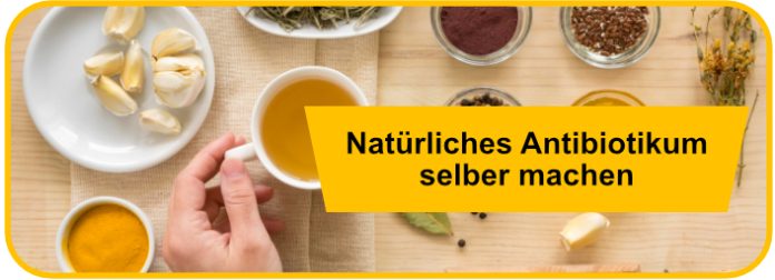Naturliches Antibiotika Rezept